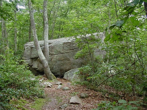 An obstacle in our path | Counsellors Online UK, Online Therapy